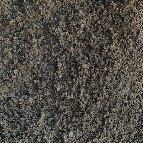 Boring Bark